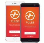 Brightspace Pulse Assistance | Information Technology Services (ITS ...